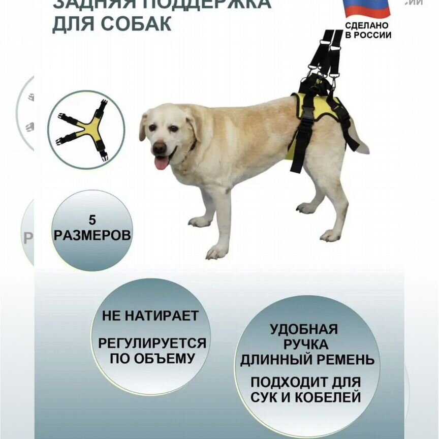 Задняя поддержка, ходунки для крупных собак