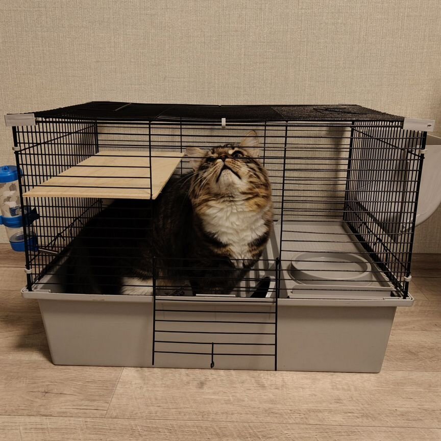 Клетка для грызунов