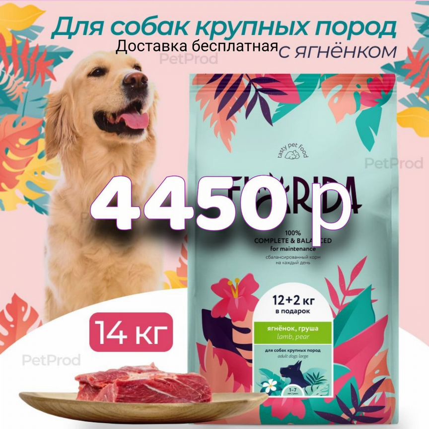 Флорида Florida корм для собак крупных ягненок 14