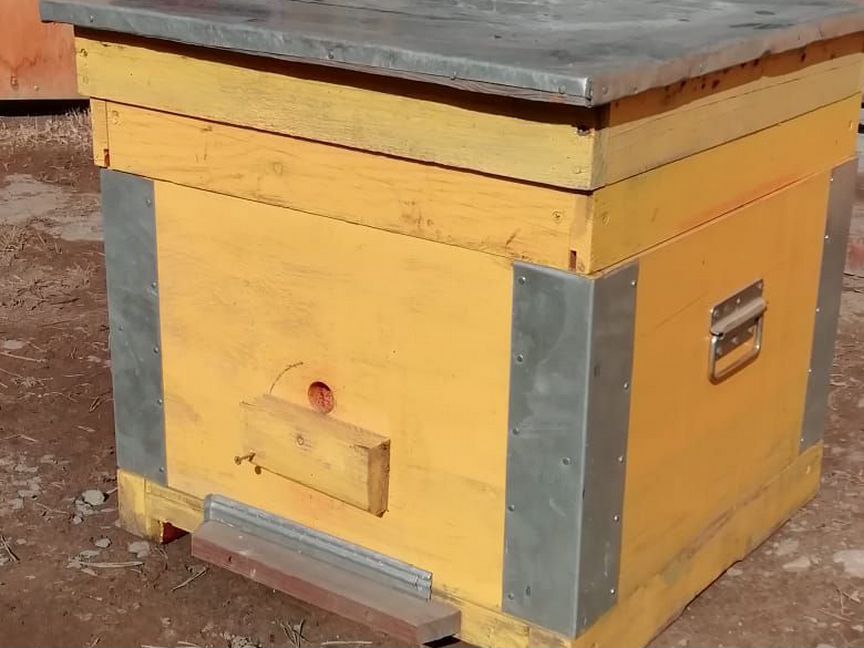 Улей для пчел