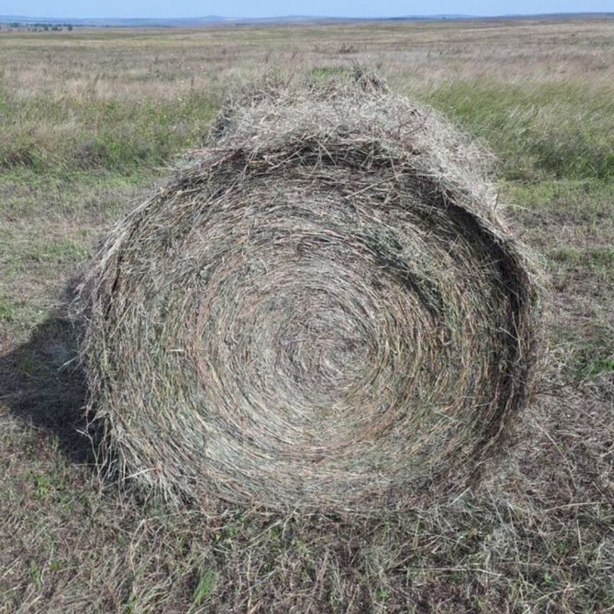 Сено, Солома в рулонах