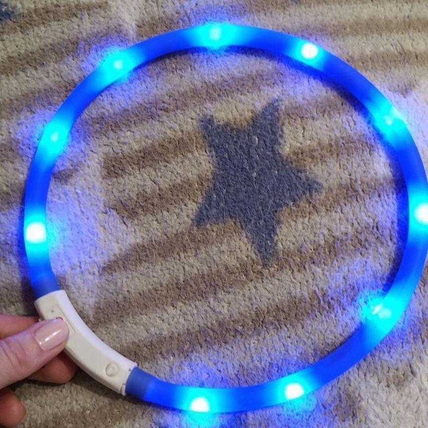 Ошейник для собак