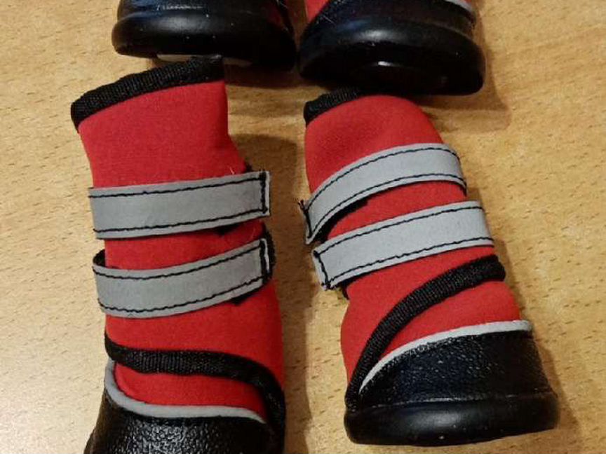 Ботинки для собачек