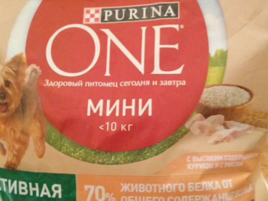 Сухой корм для собак