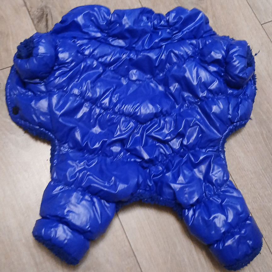 Одежда для маленьких собак s