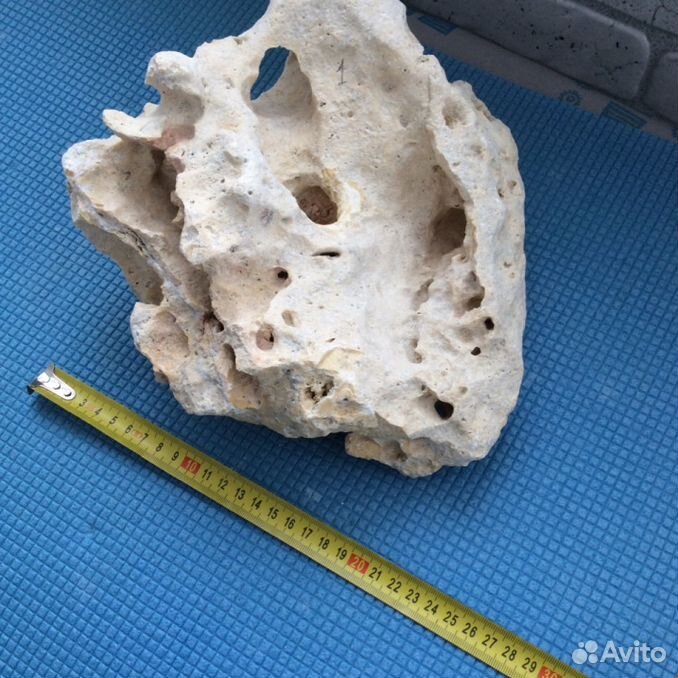 Камени Занзибар рок Кения