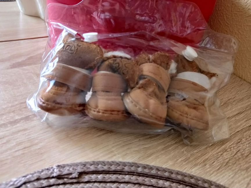 Сапожки для маленьких собак 4 лапки