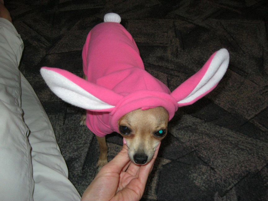 Костюм зайчик для собаки