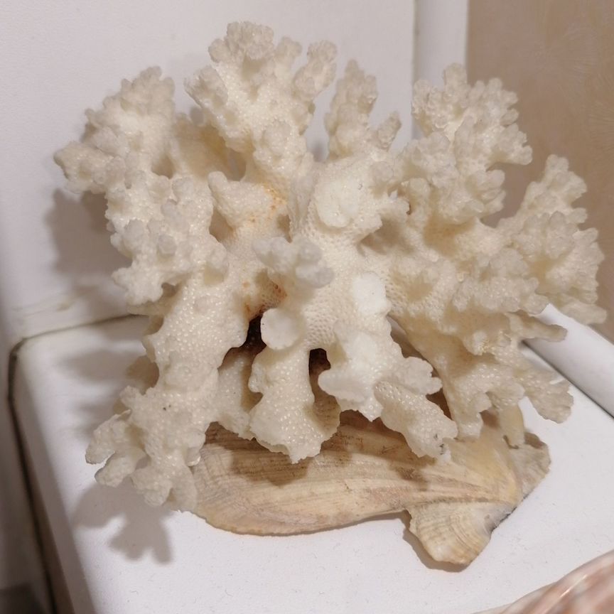 Остеклованный грунт