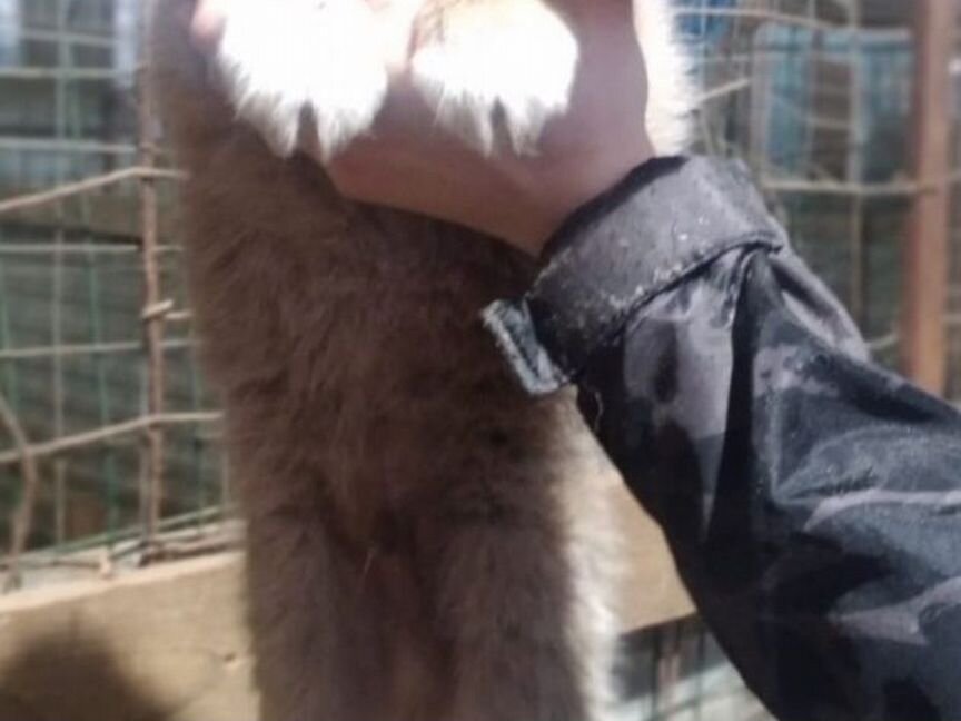 Я хочу домой