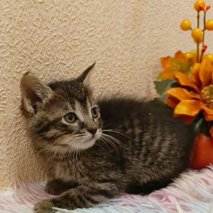 Мальчик ищет дом