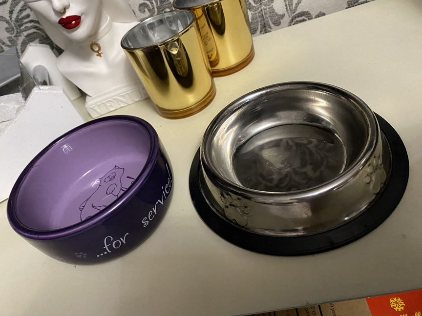 Кошачьи миски