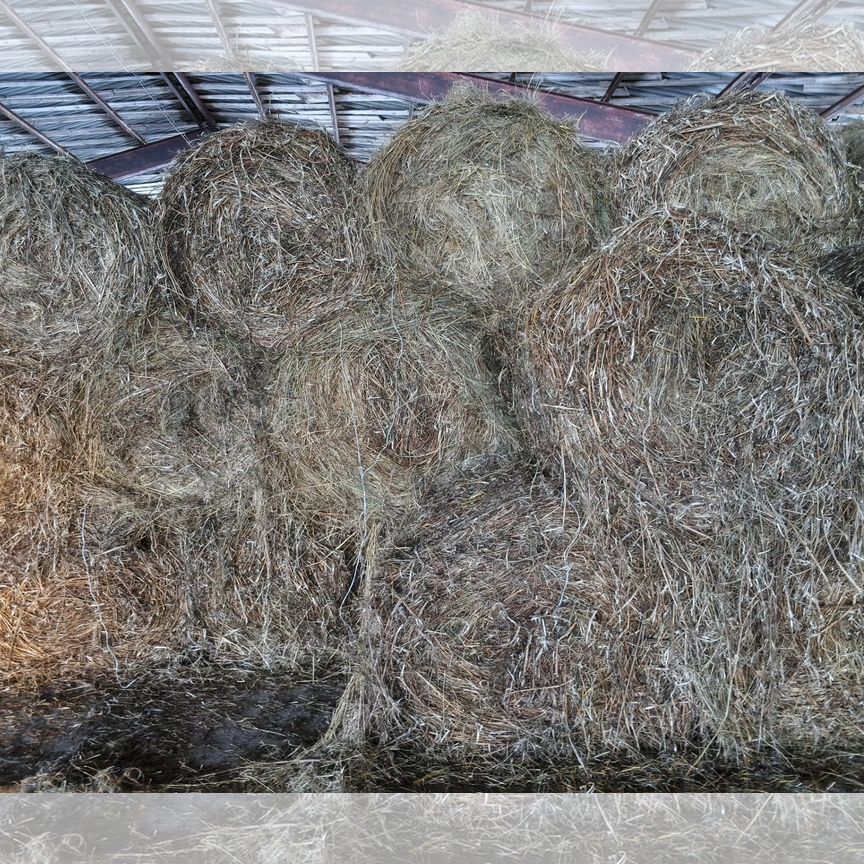 Сено-солома