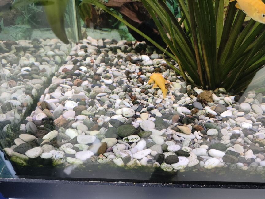 Грунт для аквариума