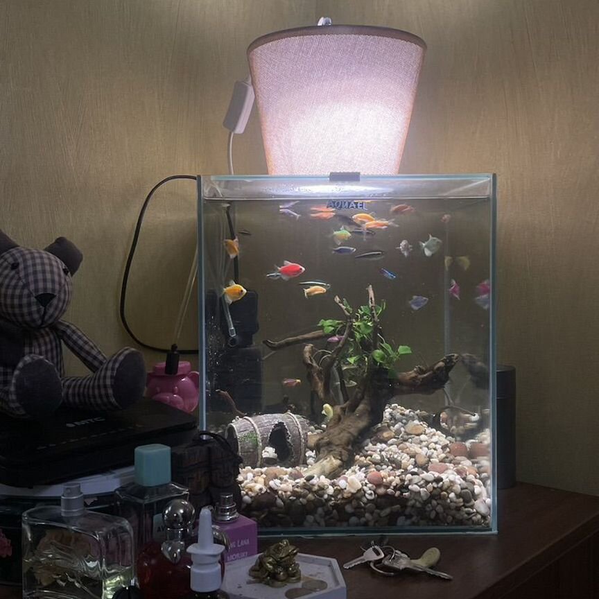 Аквариум cube aquael