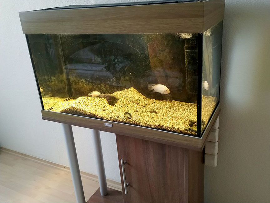 Аквариум rehau 150 л на подиуме + много всего