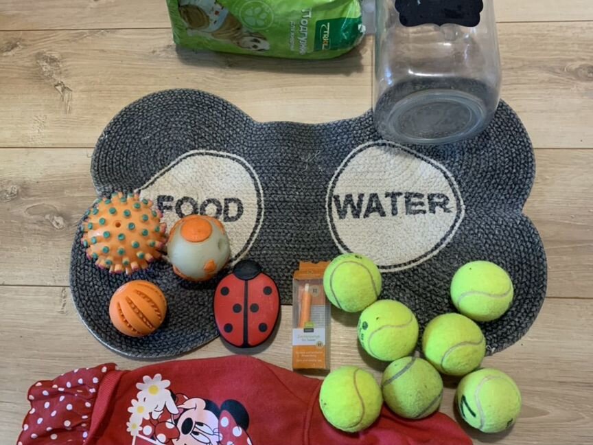 Игрушки для собак за все