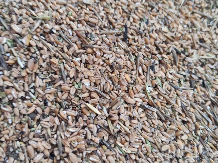 Отходы пшеничные