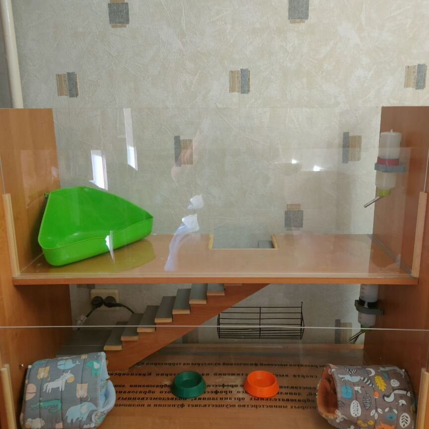 Домик для морской свинки