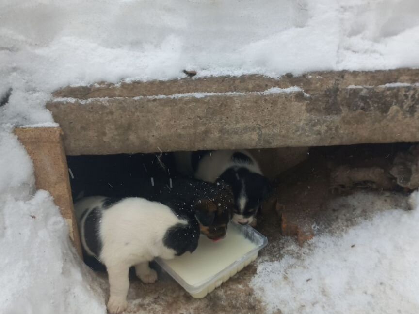 Отдать входящие руки