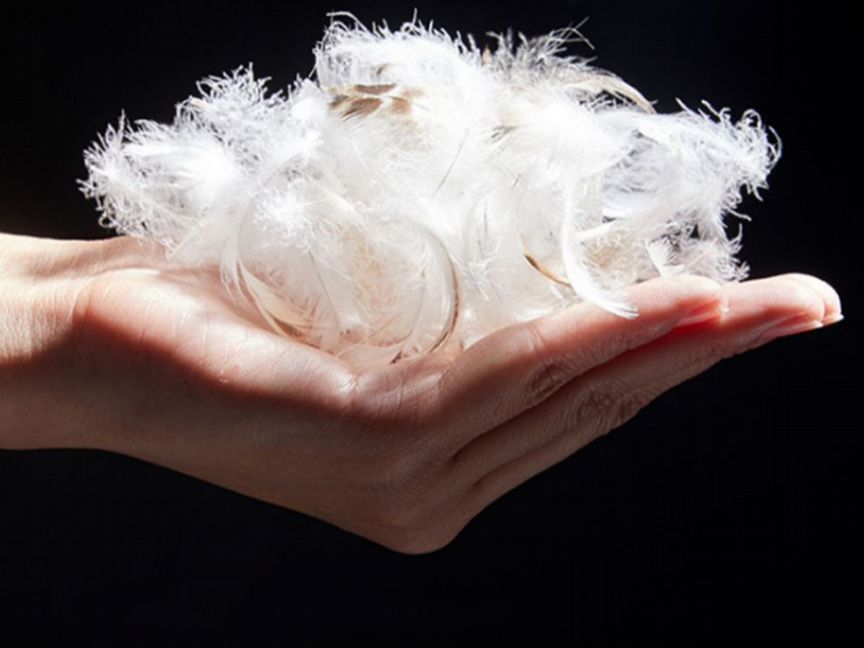 Продам пух перо