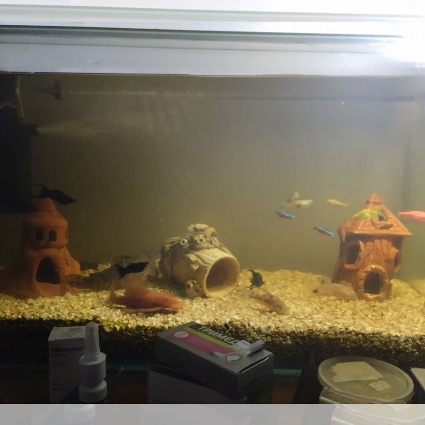 Аквариум 77л с рыбками и всем содержимым