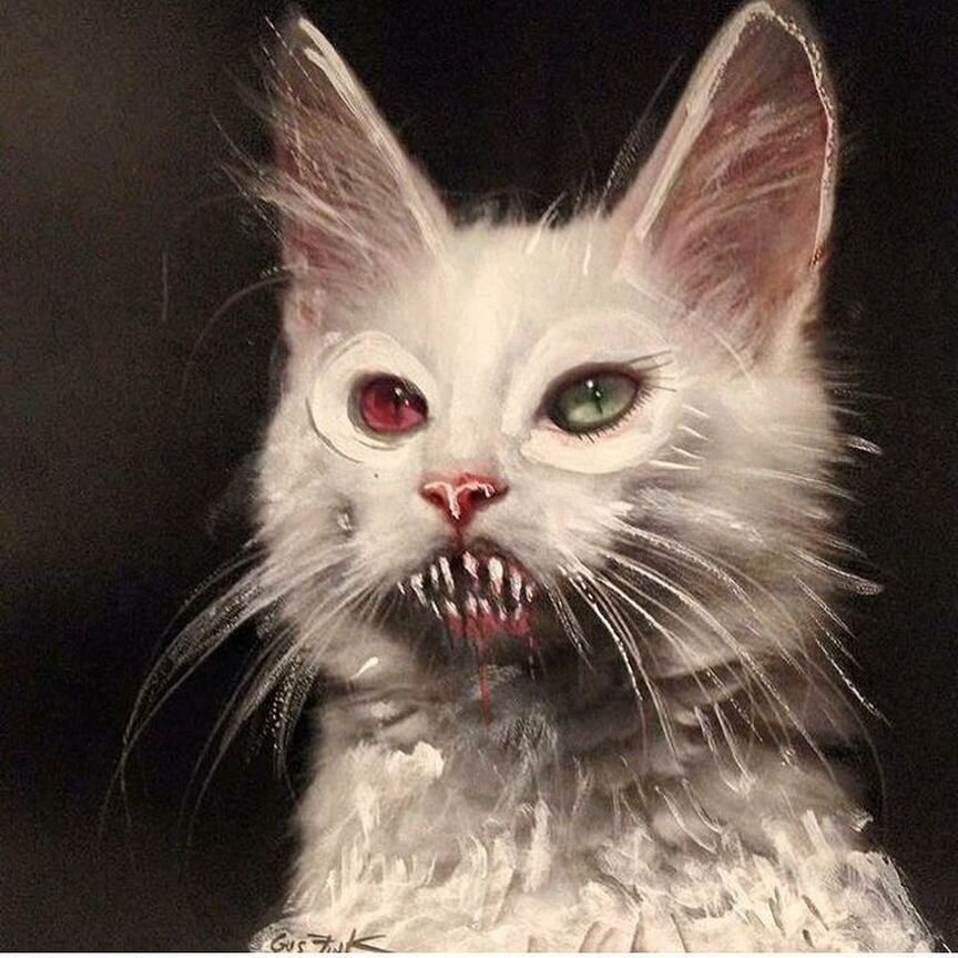 Кот вася