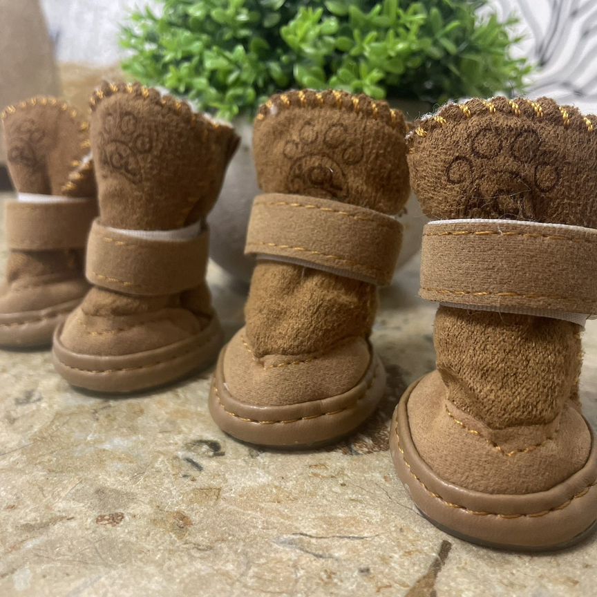 Ботинки для маленьких собак