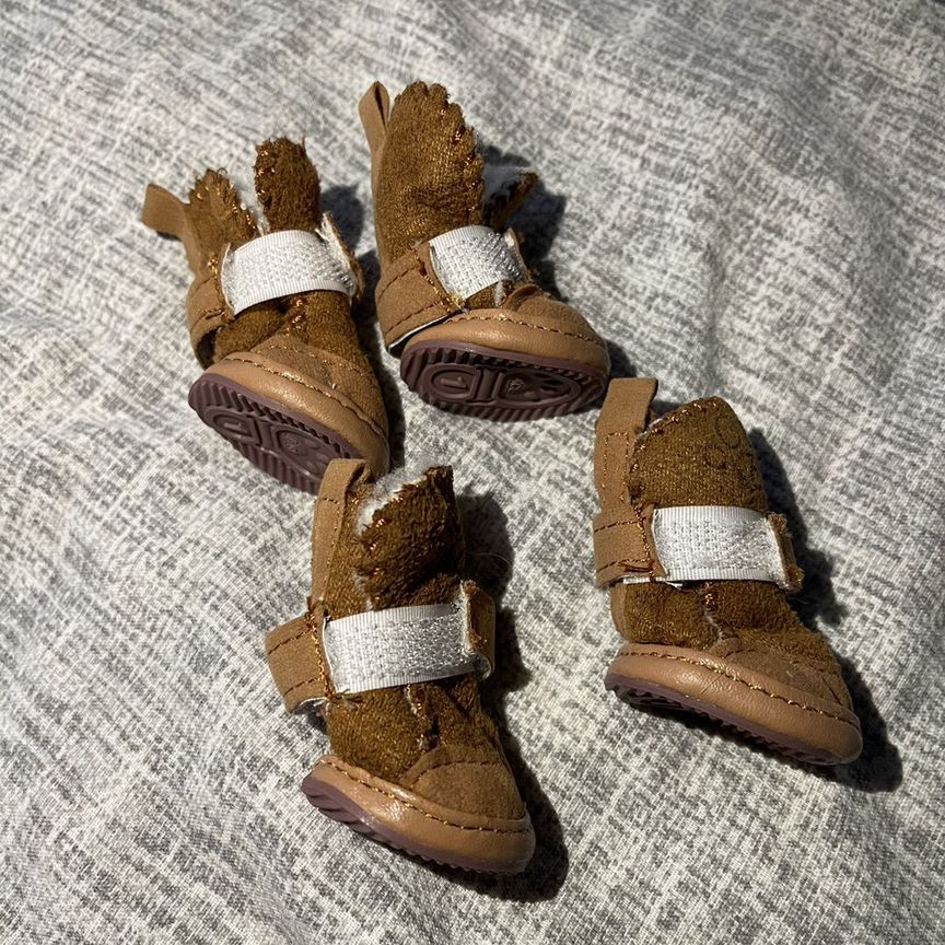 Ботинки для маленьких собак