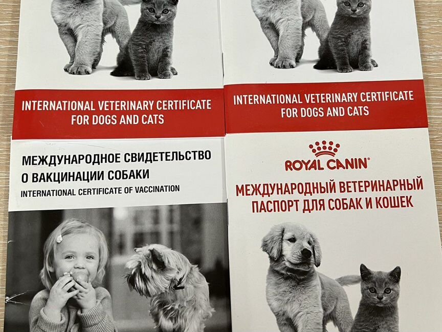 Ветеринарный паспорт