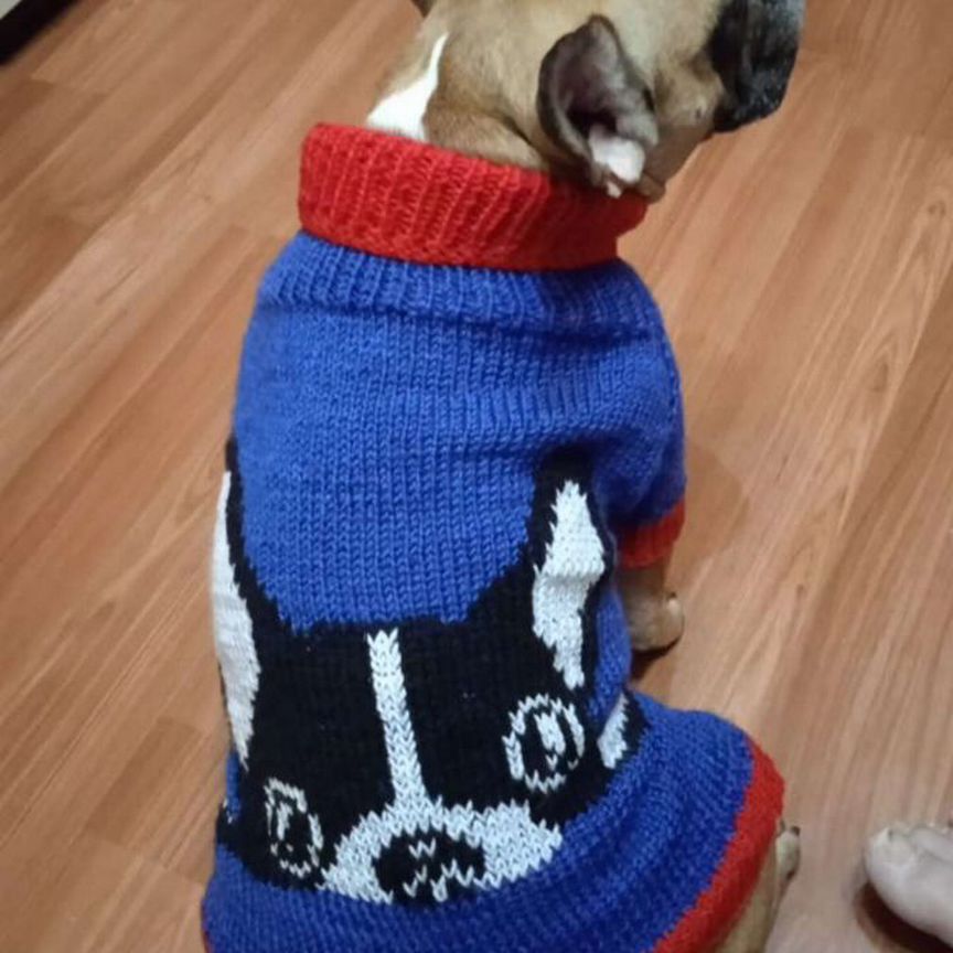 Одежда для собак