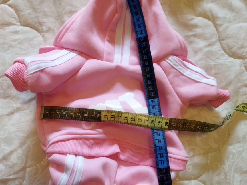 Костюм и шлейка для маленькой собаки