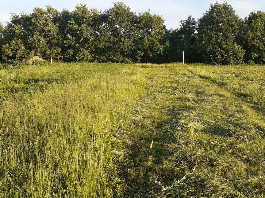 Сено в мешках