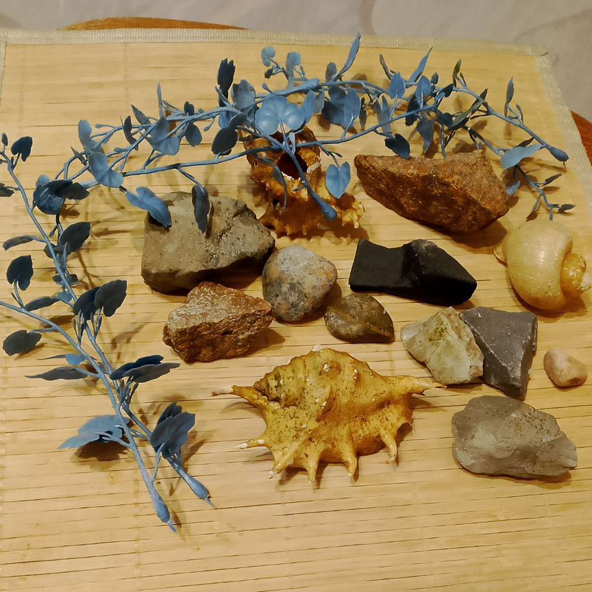 Камни и ракушки для аквариума