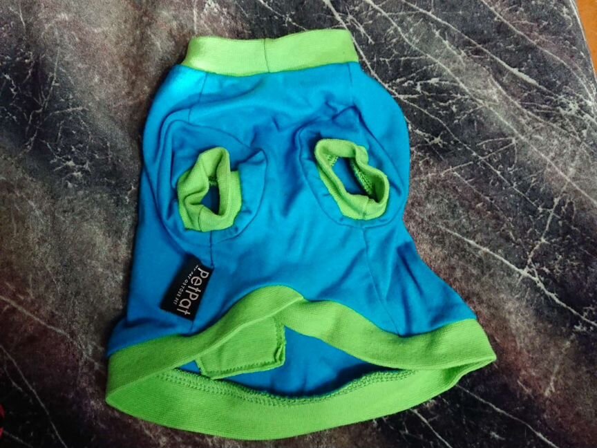 Одежда для сфинкса