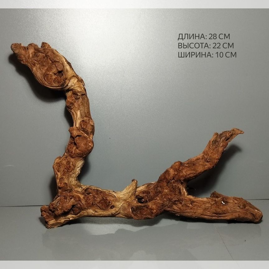 Коряга Bell Wood мангровая коряга 40*9*24 вк510