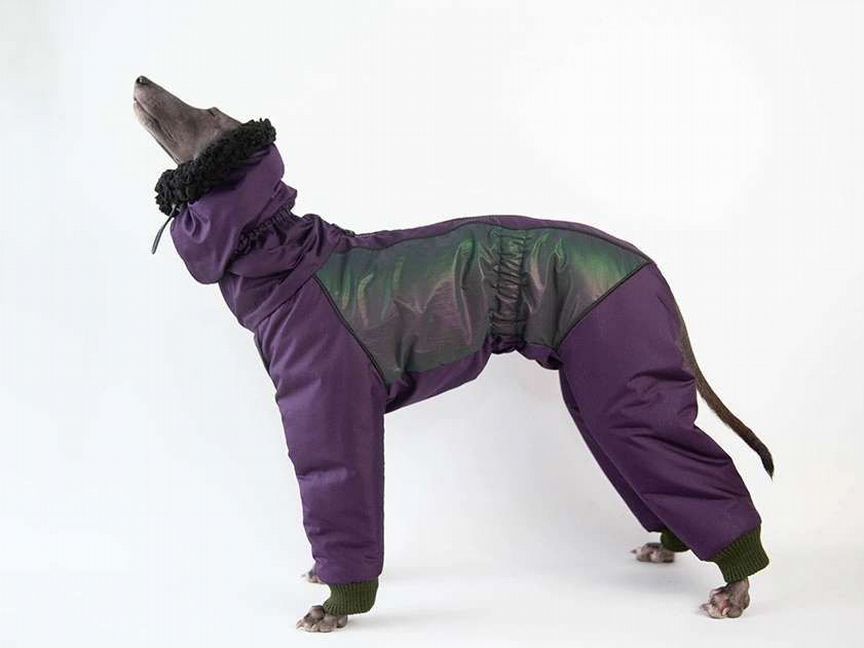 Комбинезон на левретку, зима