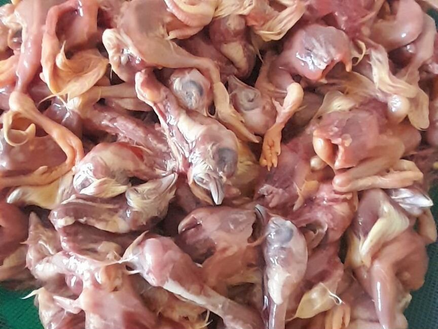 Суточные цыплята заморозка