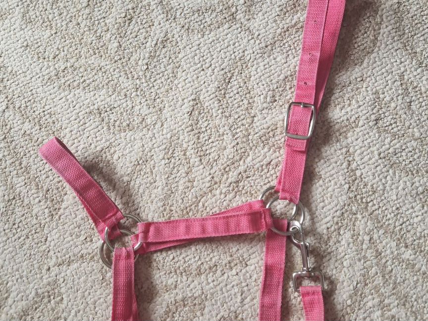 Недоуздок для лошади