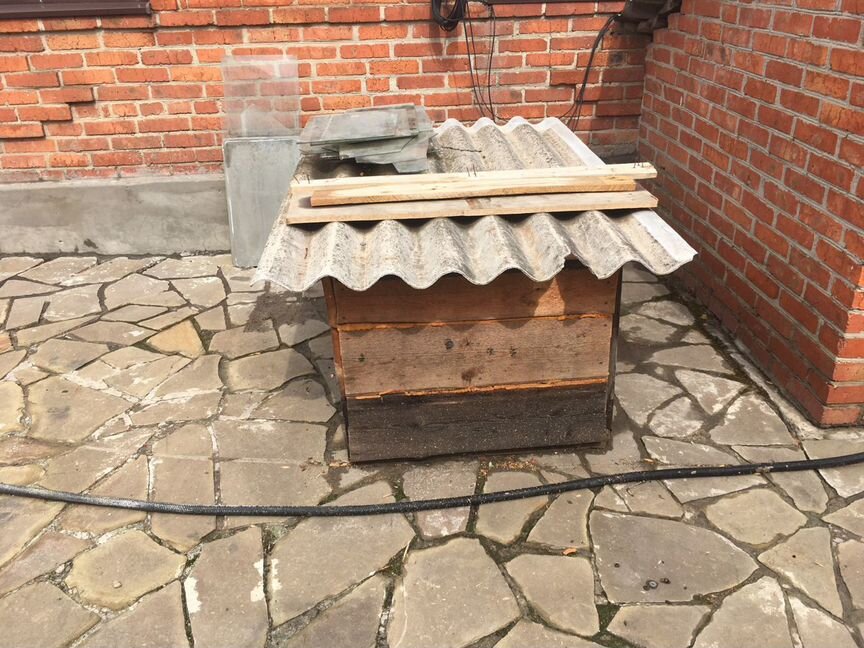 Будка собачья на два хозяина)