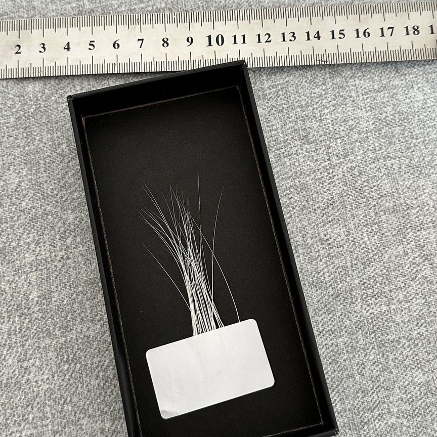 Кошачьи усы