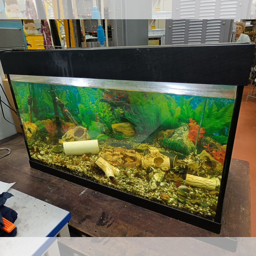 Аквариум 200 литров