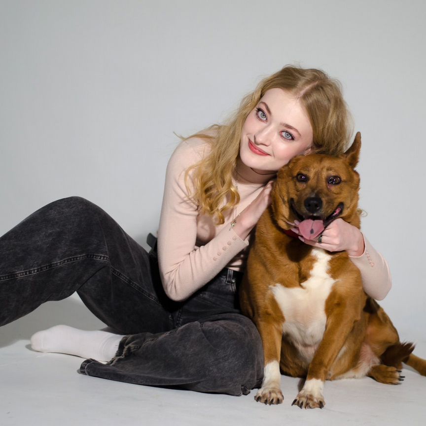 В самые добрые ручки кошечки и собачки