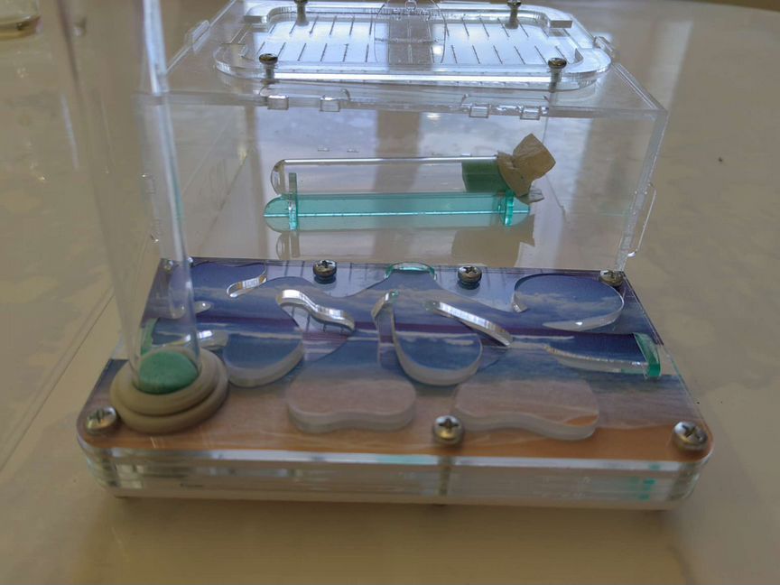 Муравьиная ферма без муравьев