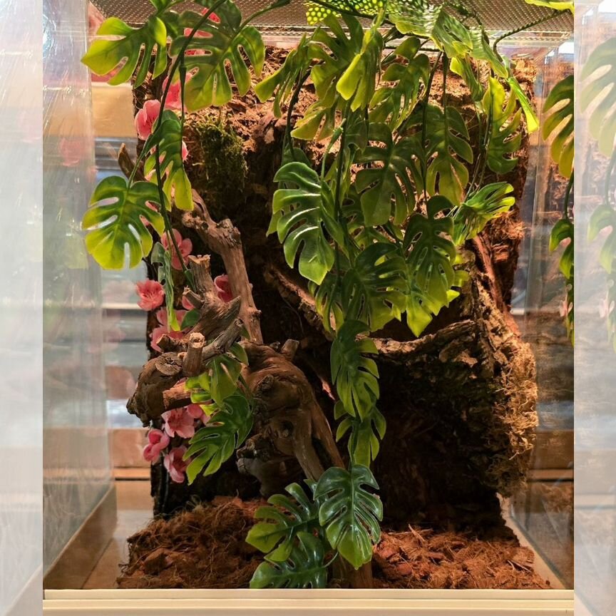 Вертикальный террариум 30*30*40 под ключ