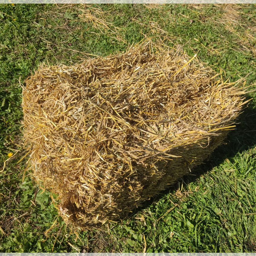 Солома в тюках с доставкой