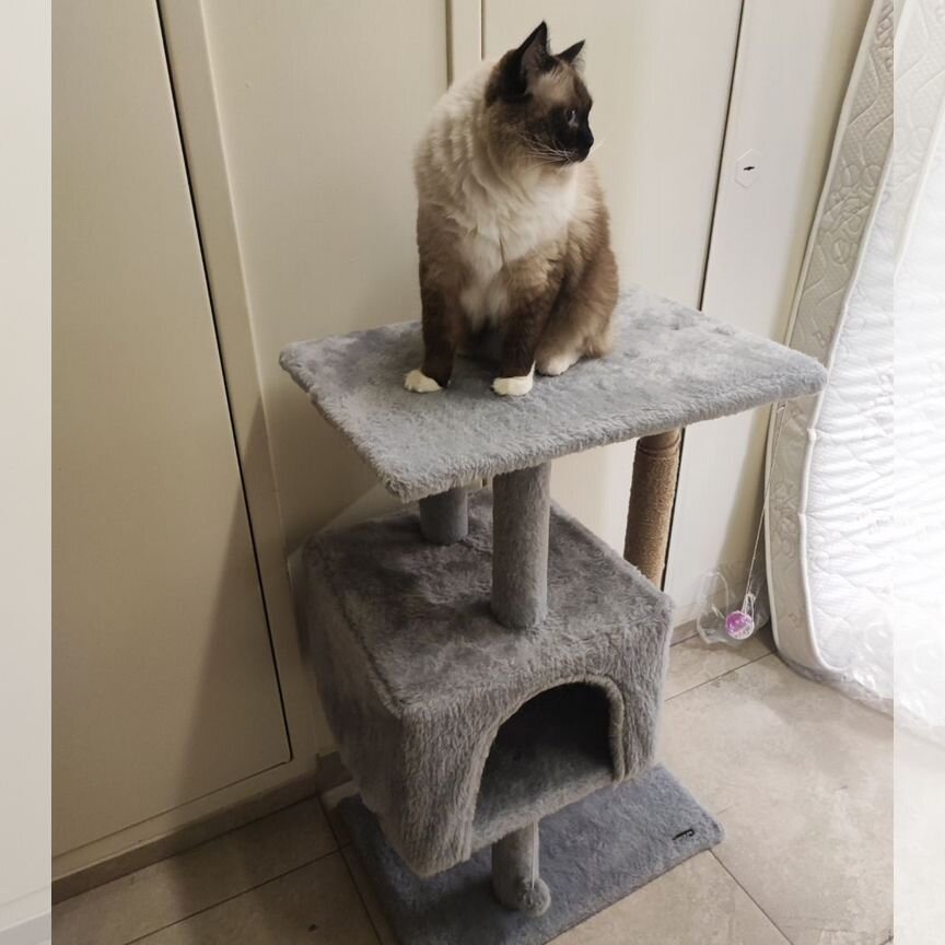 Кошачий домик с когтеточкой