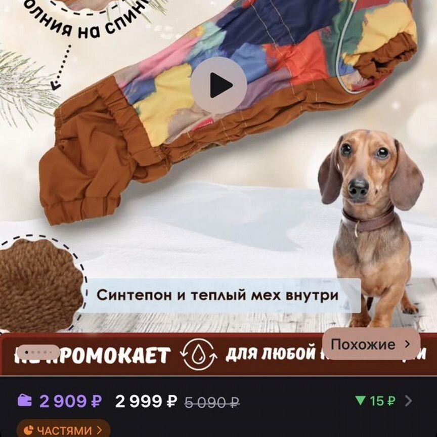 Зимний комбинезон для таксы мальчика For my dogs