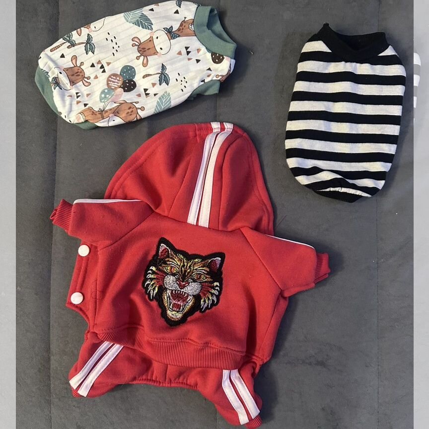 Одежда для собак мелких пород xs s