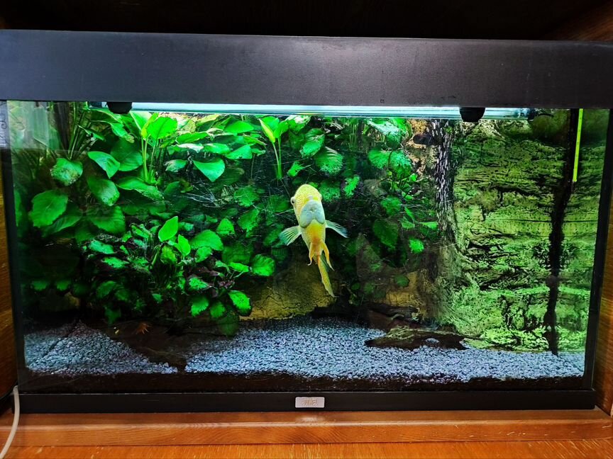 Аквариум juwel 150